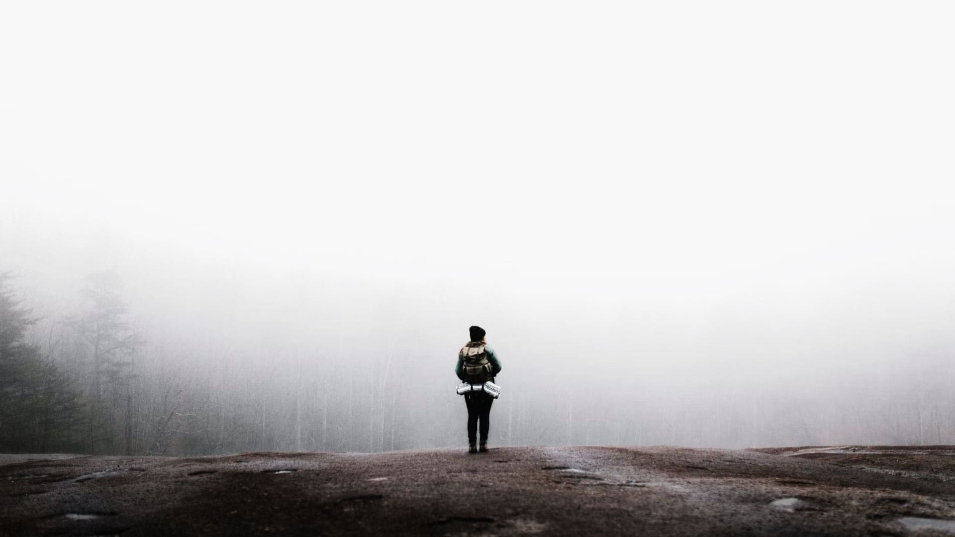 How To Set Up Your Domain Ssl Email And Wordpress Using Cpanel